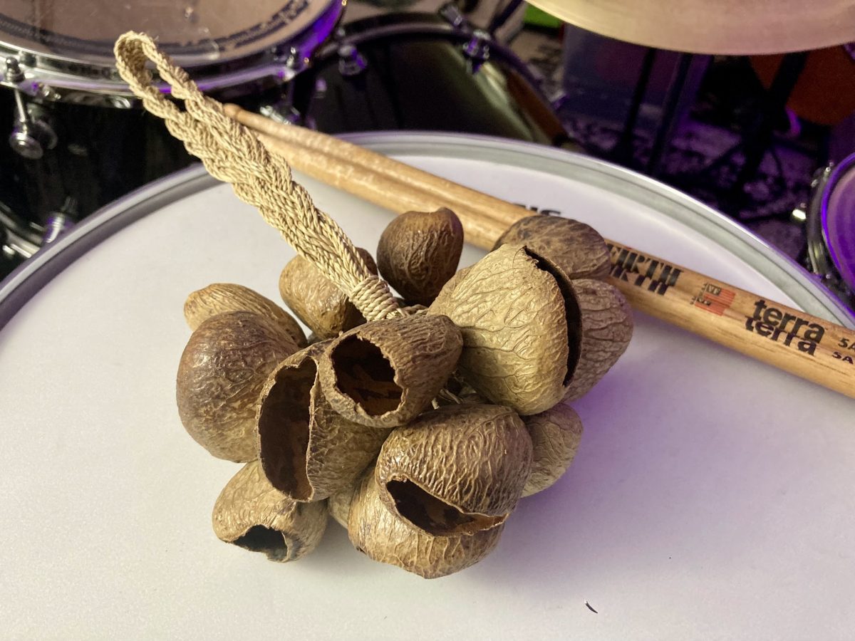 Auxiliary Percussion: The Studio "Secret Weapon" You're Ignoring ...